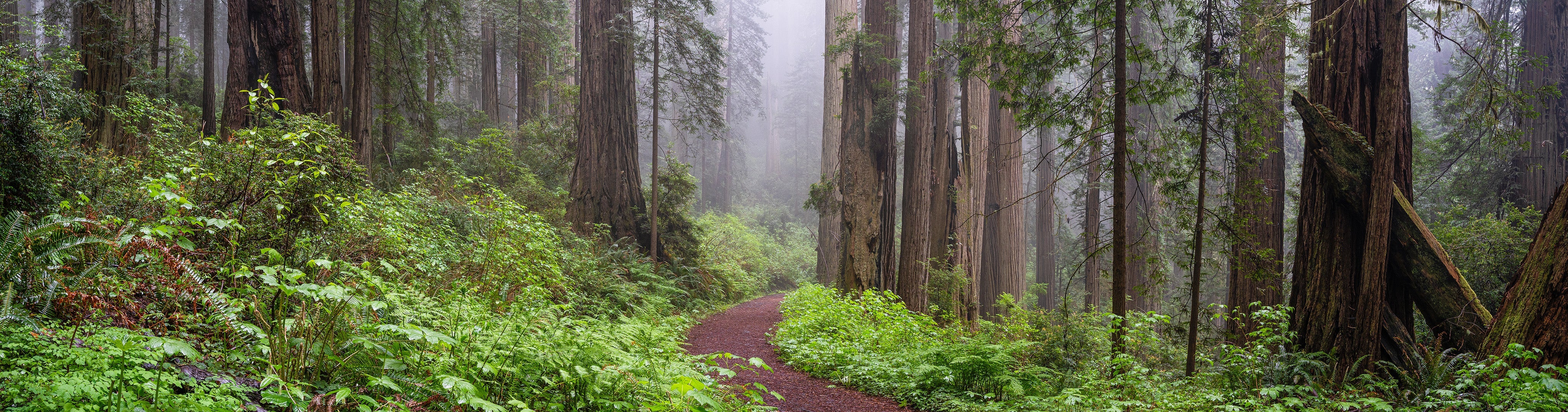 Fine Art Photograpghy Landscapes Collection - Emile de Witt Photography