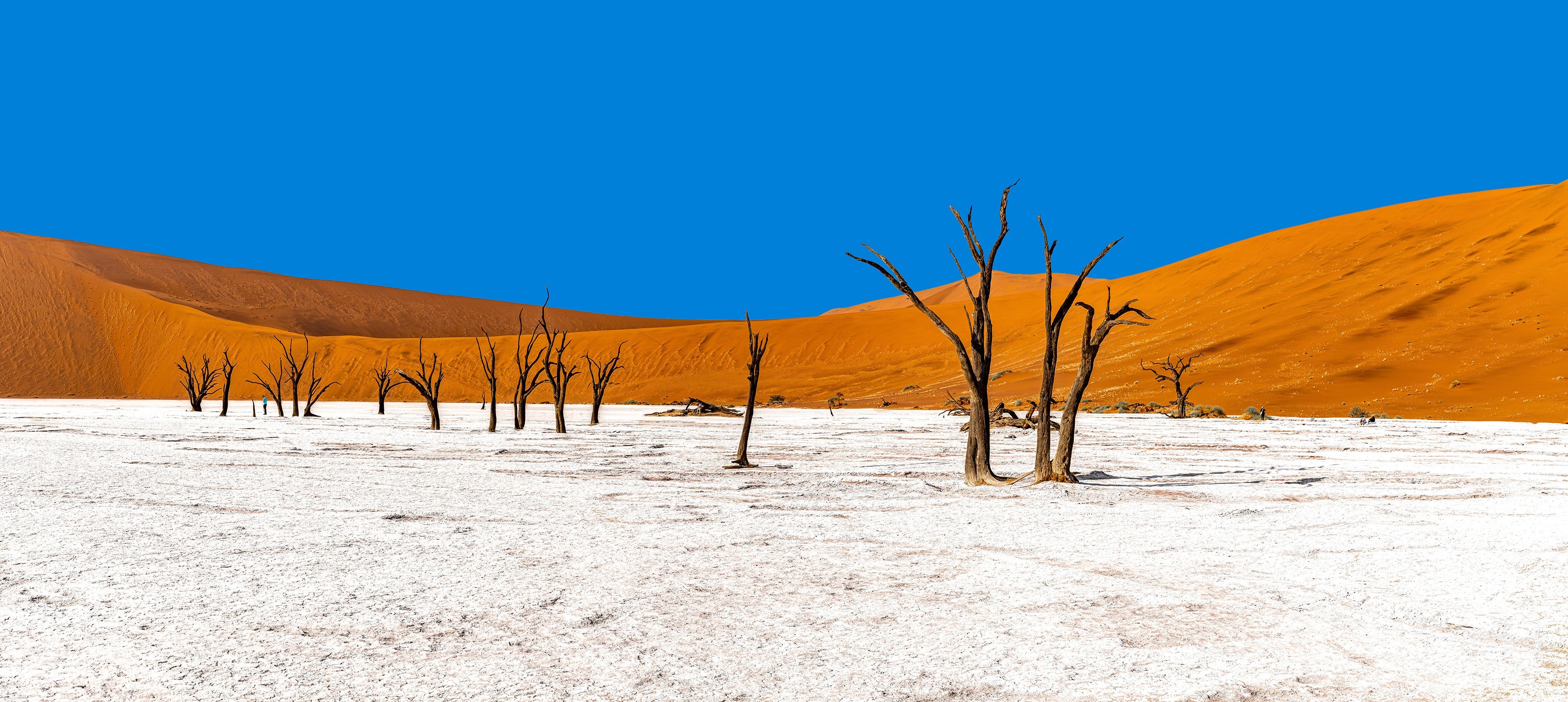Deadvlei Fine Art Photograpghy Collection - Emile de Witt Photography