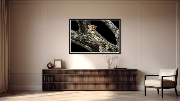 Photos of Leopard in the Wild Serengeti - Eyes over the Savanna – Emile ...