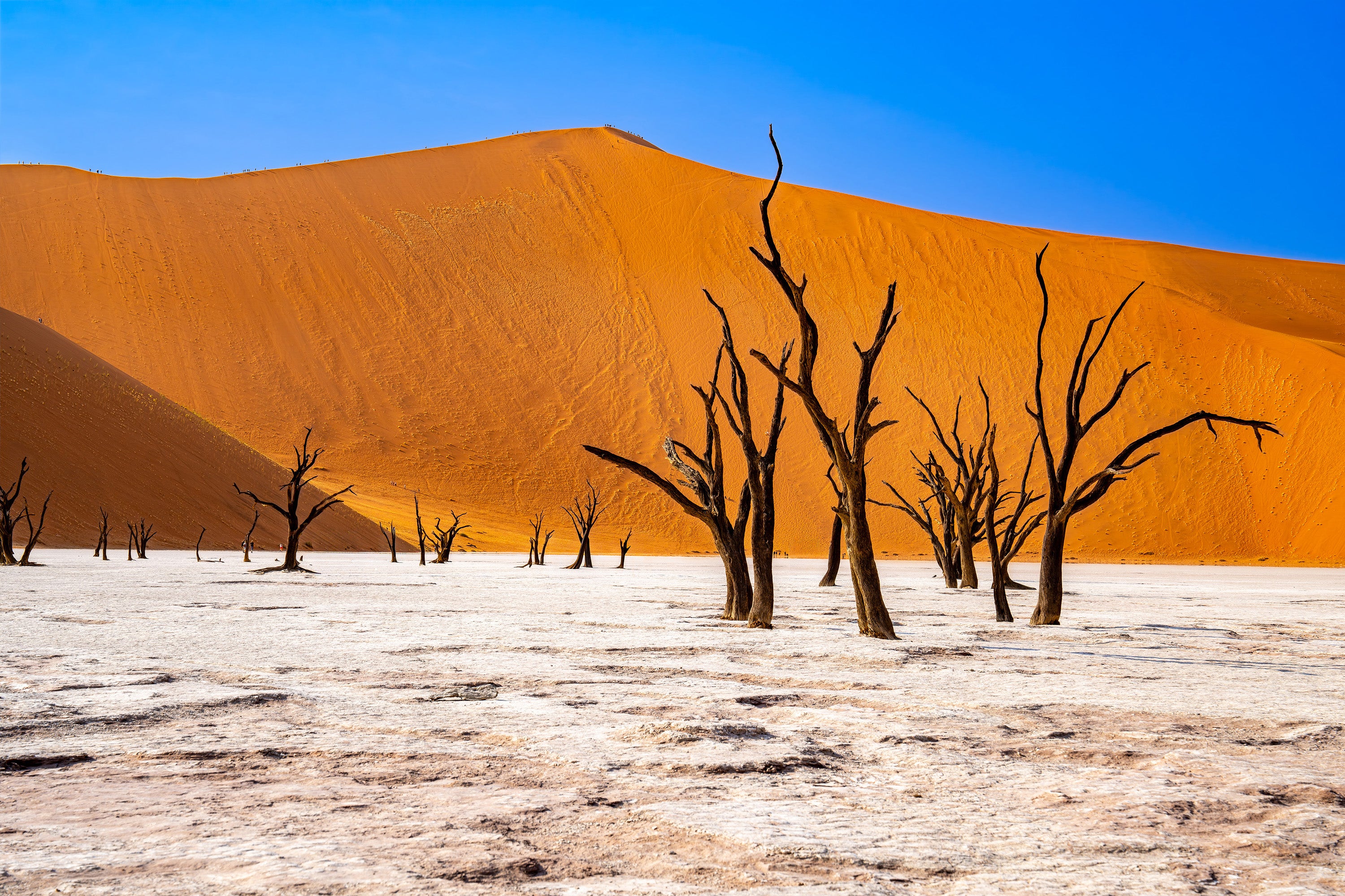 Deadvlei Sand Dunes - Sossusvlei Namibia – Landscape Photo IV – Emile ...