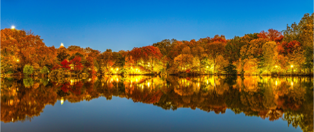 Central Park "Embers on The Lake" Fine Art Photo - Emile de Witt ...